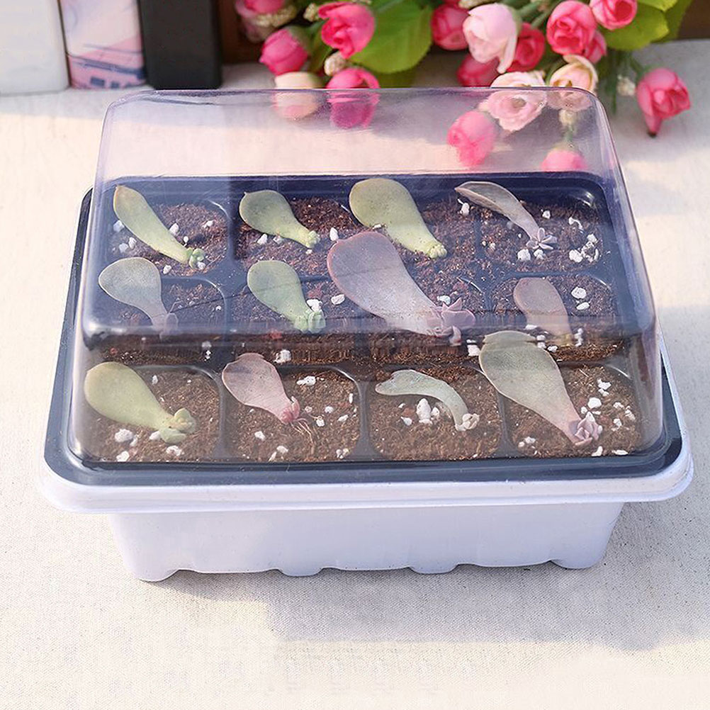 HONMEET 6Pcs Growing Trays Simple Structure Design For Gardeners And ...