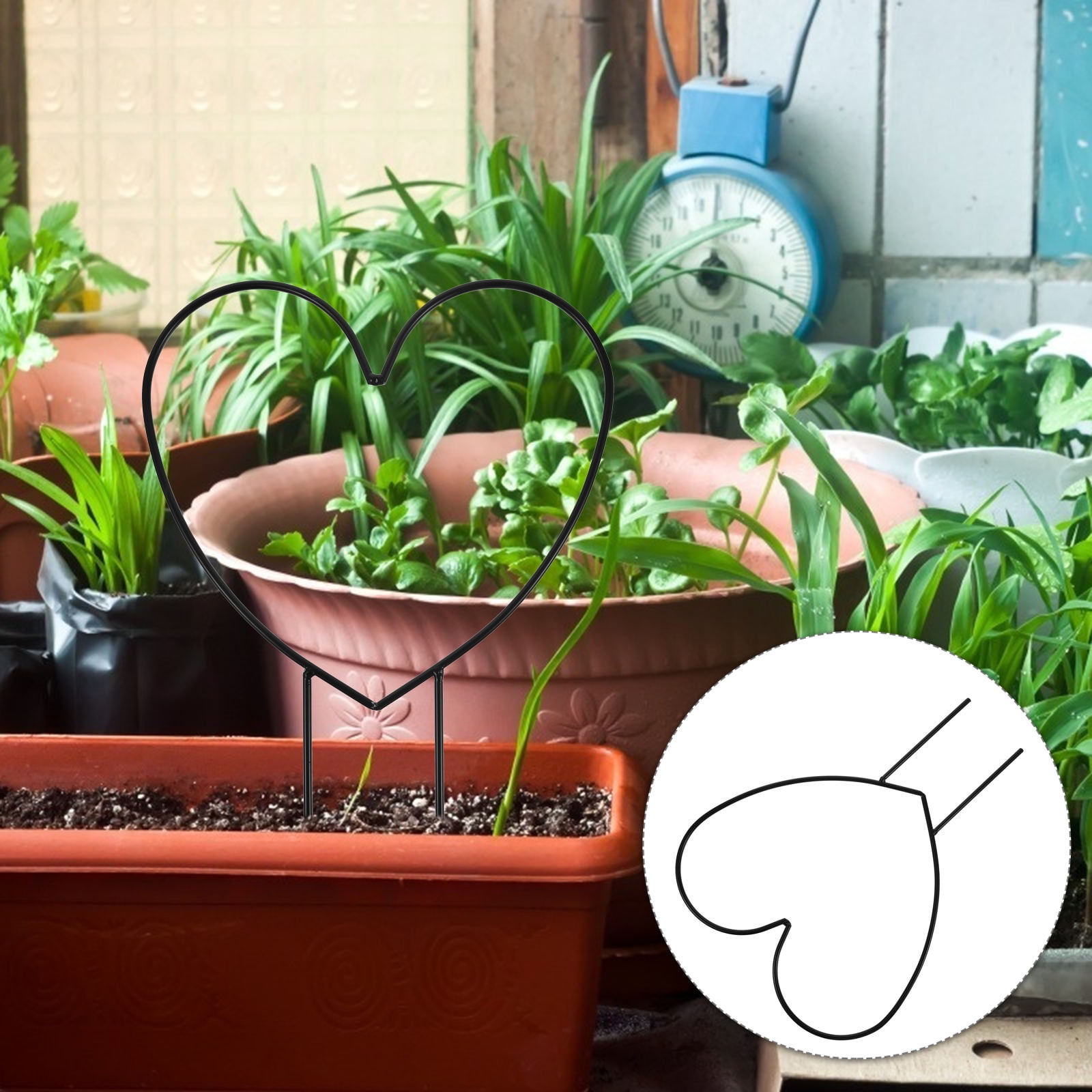 HONMEET Climbing Vine Frame Iron 2Pcs Heart Shaped for Garden Stalks ...