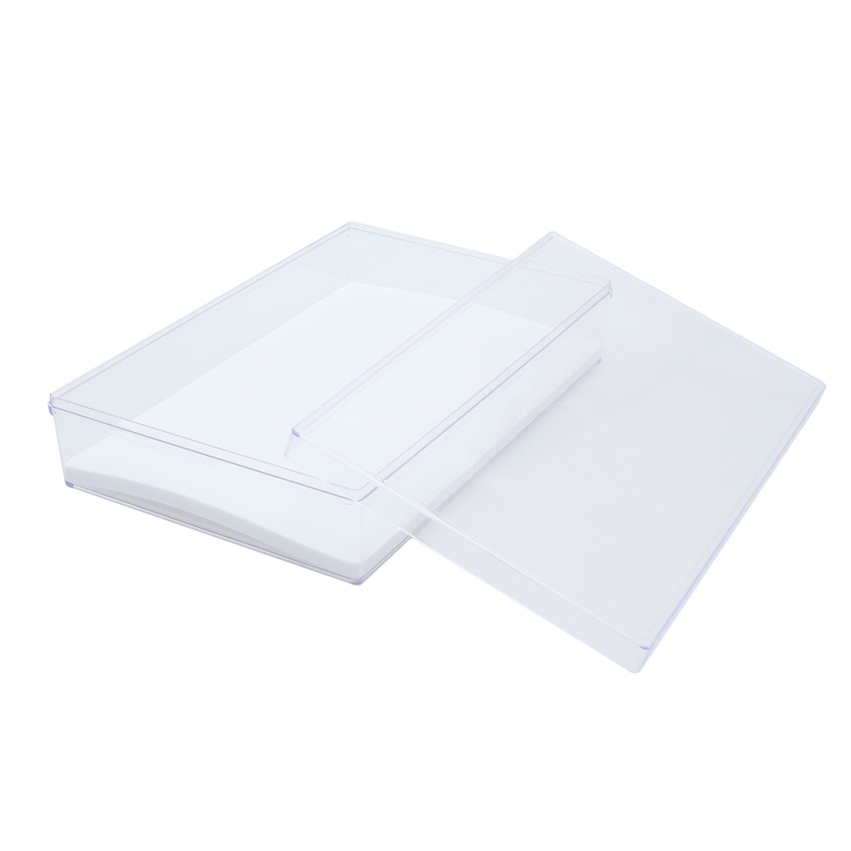 HONMEET Bug Display Case Insect Specimen Box Plastic Researchers ...