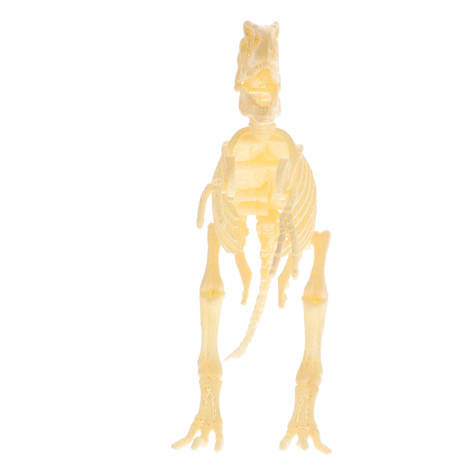 HONMEET Realistic Beige Dinosaur Skeleton Toy Made of PVC for Kids ...