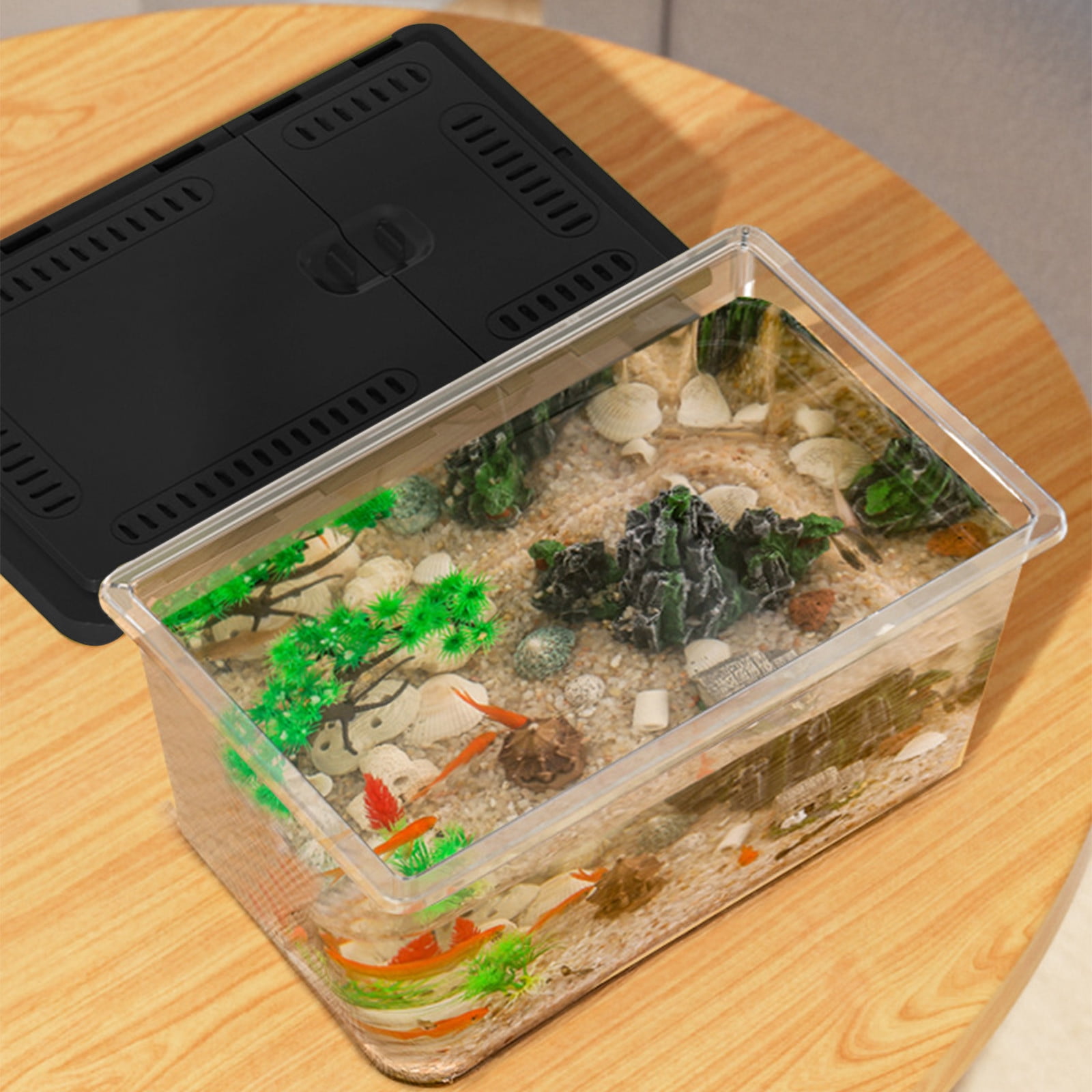 HOOMY Mini Portable Fish Tank Animals, Plastic Terrarium Single Fish ...