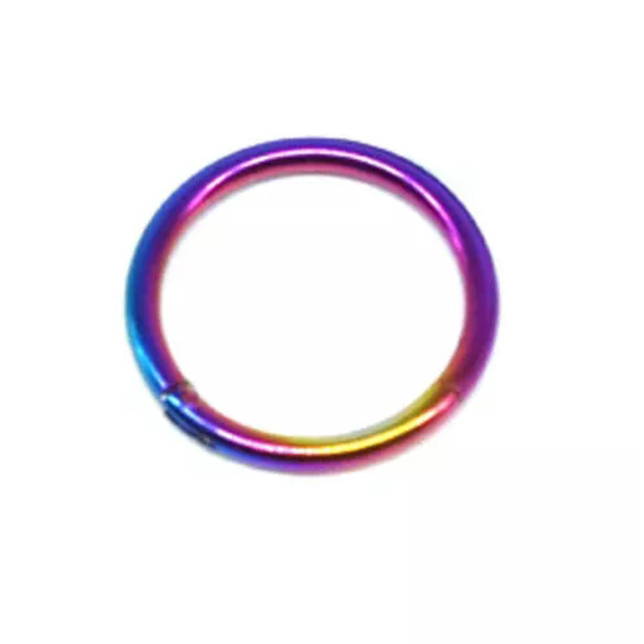 HOOUN 100% Titanium Hinged Segment Ring Hoop Ear Lip Nose Piercing Septum Cliker-Rainbow-6 mm ...