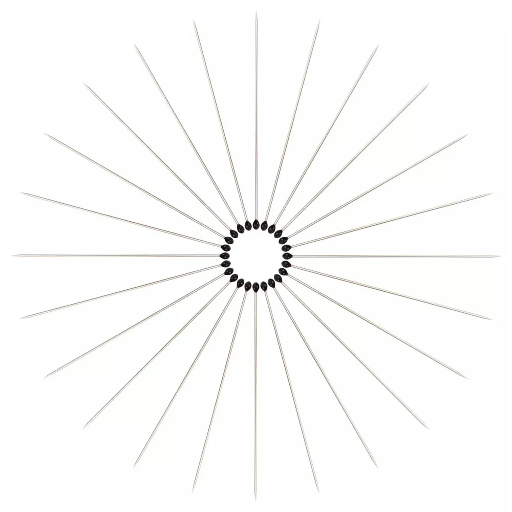 HOOUN 200 Pcs Stainless Steel Specimen Pin Dissection Entomology Kit ...