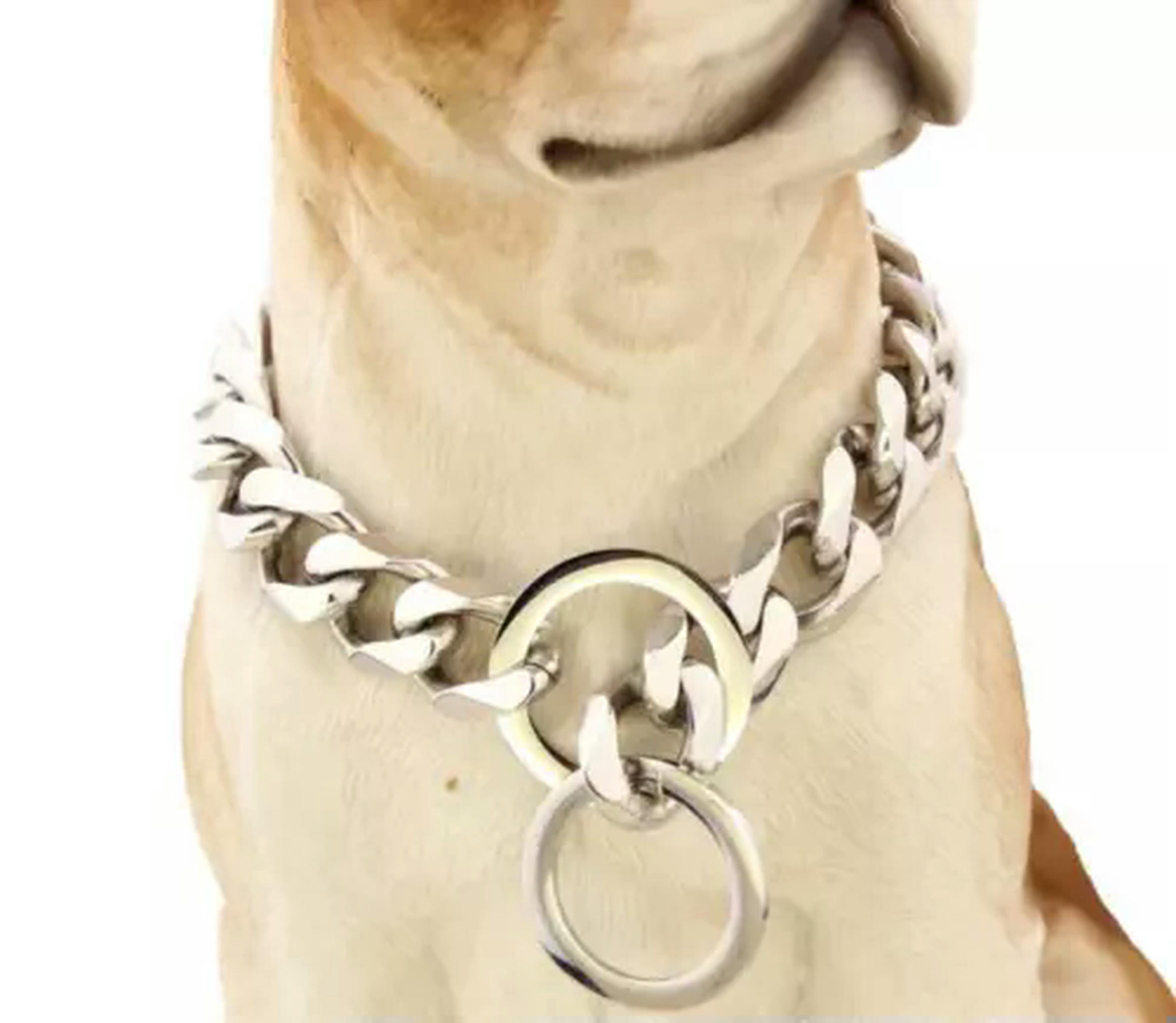 HOOUN Durable Dog Walking Training Collar Stainless Steel Cuban Dogs ...
