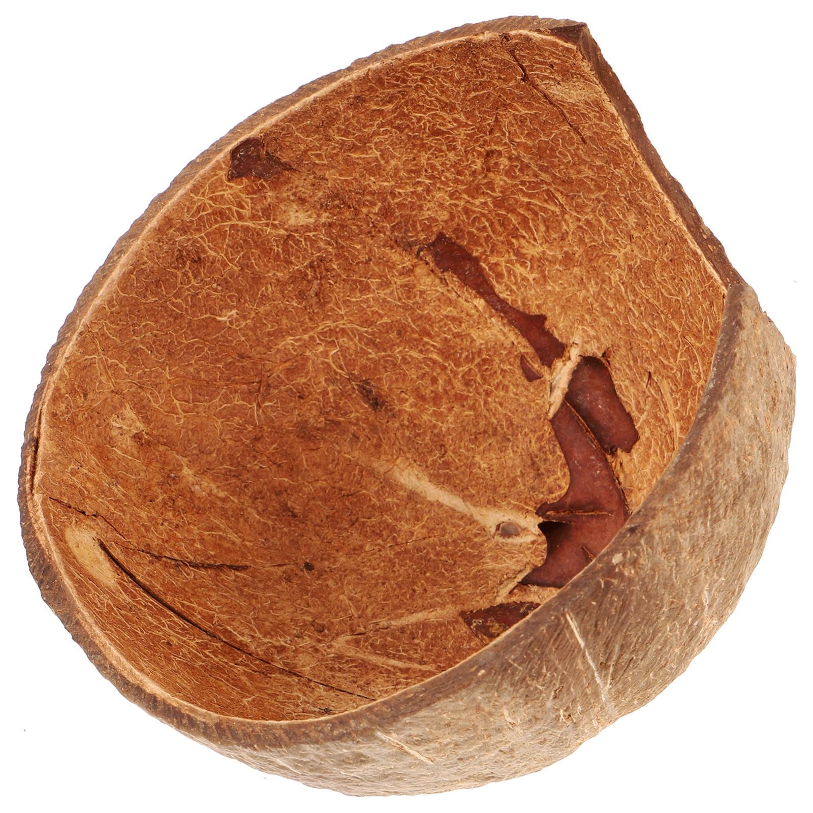 HOOWIFFY Snake Habitat Accessory 1Pack Coconut Shell for Reptile Tank ...