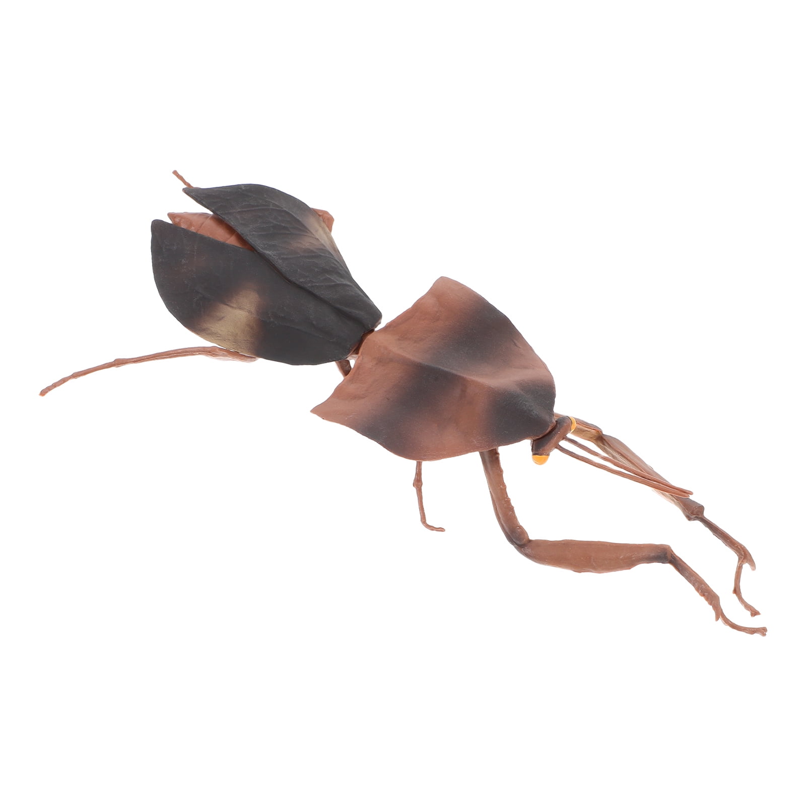 HOOWIFFY insect sculpture decor Dead Leaf Mantis Model Dark Brown 1Set ...