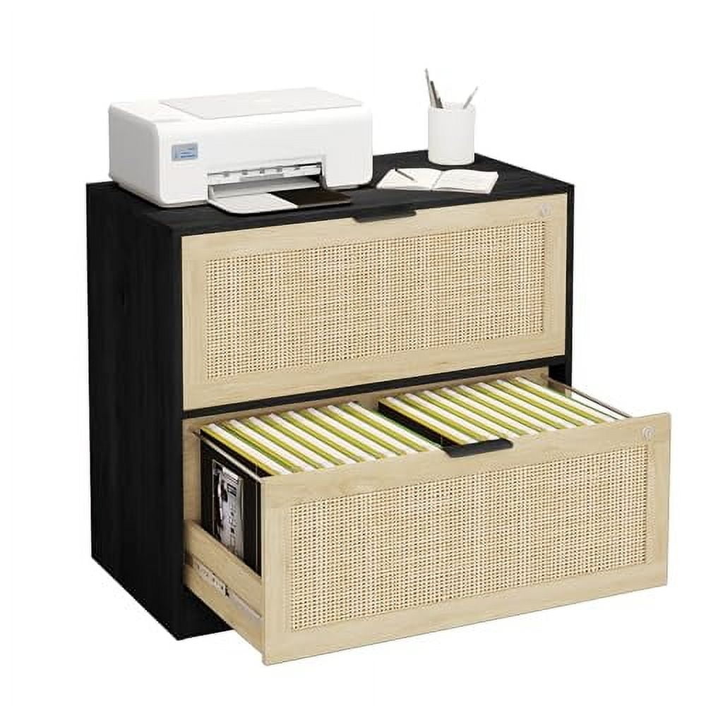 HOPUBUY 2 Drawer File Cabinet with Lock, Printer Stand Lateral Filing ...