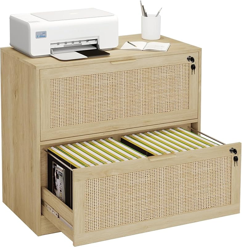 HOPUBUY 2 Drawer File Cabinet with Lock, Printer Stand Lateral Filing ...