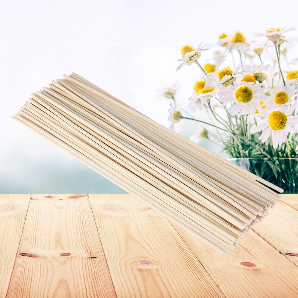 HORIALENCE 100Pack Thick Diffuser Sticks Essential Oil Diffusion for ...