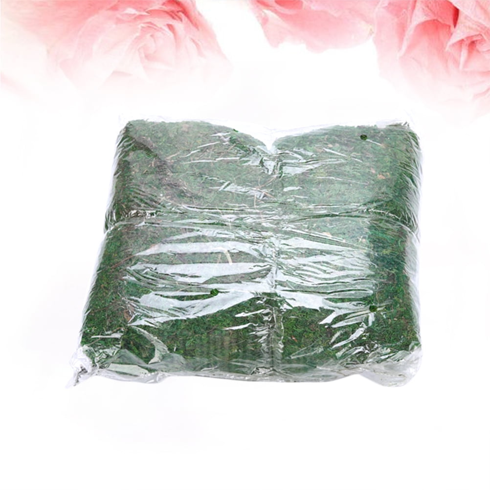 HORIALENCE 1Pack Lichen Modelling Moss For Model Making Materials ...