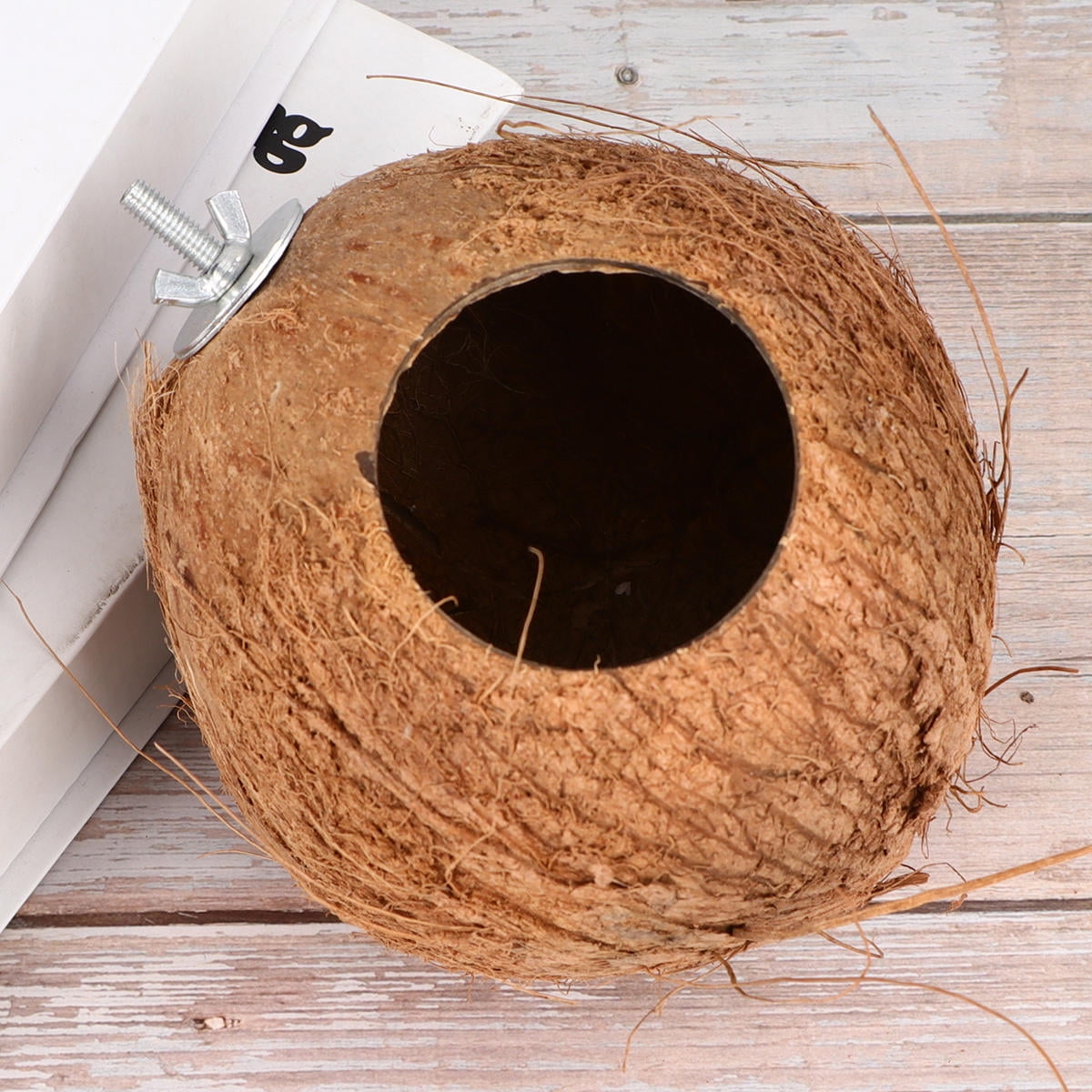 HORIALENCE 1Set Hanging Coconut Bird House Feeder Bed for Birds in ...