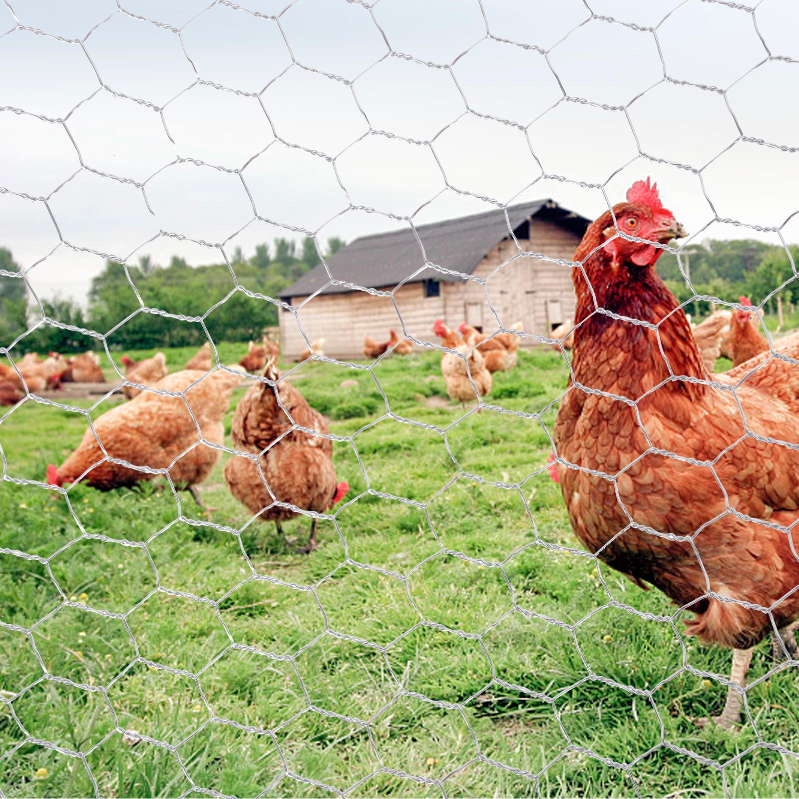 HORIALENCE Decorative Chicken Wire 1Pack 500x40Cm for Construction and ...