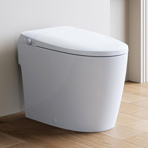 HOROW Non-electric Smart Bidet toilet with Dual Bidet Nozzles Cleanse ...