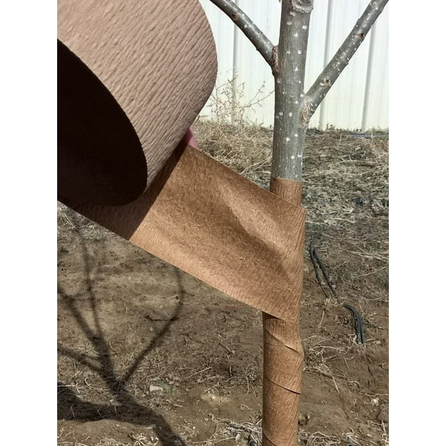 HORT Paper Tree Wrap 3" x 150' roll, Commercial Grade - Walmart.com