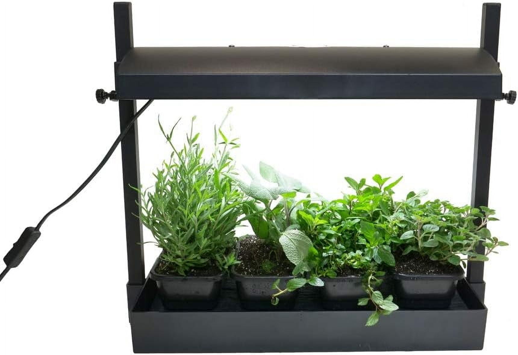 HOSS Kitchen Garden Light Kit | 6400K LED Lights with 4 Trays | Grow ...