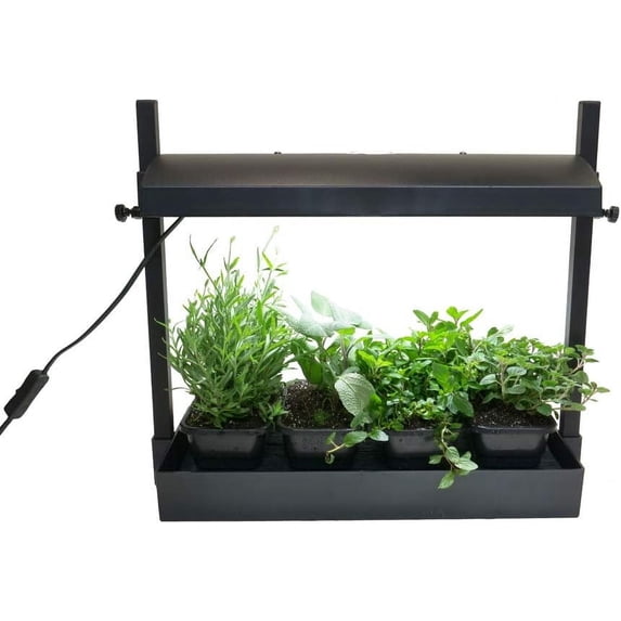 HOSS Kitchen Garden Light Kit | 6400K LED Lights with 4 Trays | Grow ...