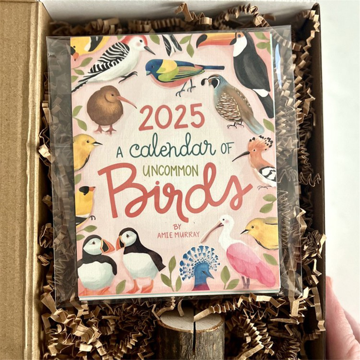 HOT! 2025 A Calendar of Uncommon Birds - Bird Watcher Monthly Wall ...