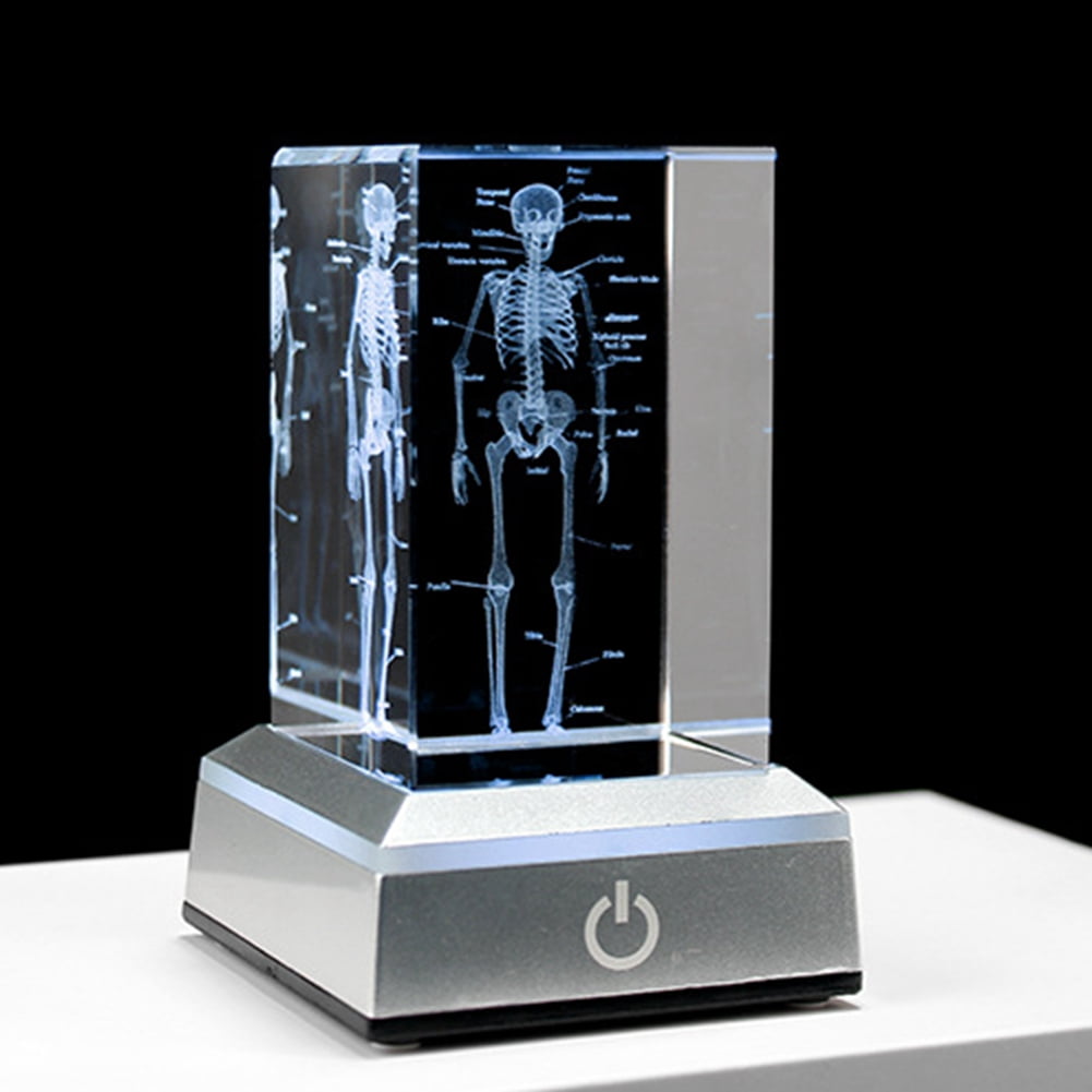 HOT! 3D Laser Engraved Human Skeletal Crystal Cube Figurines, Medical ...