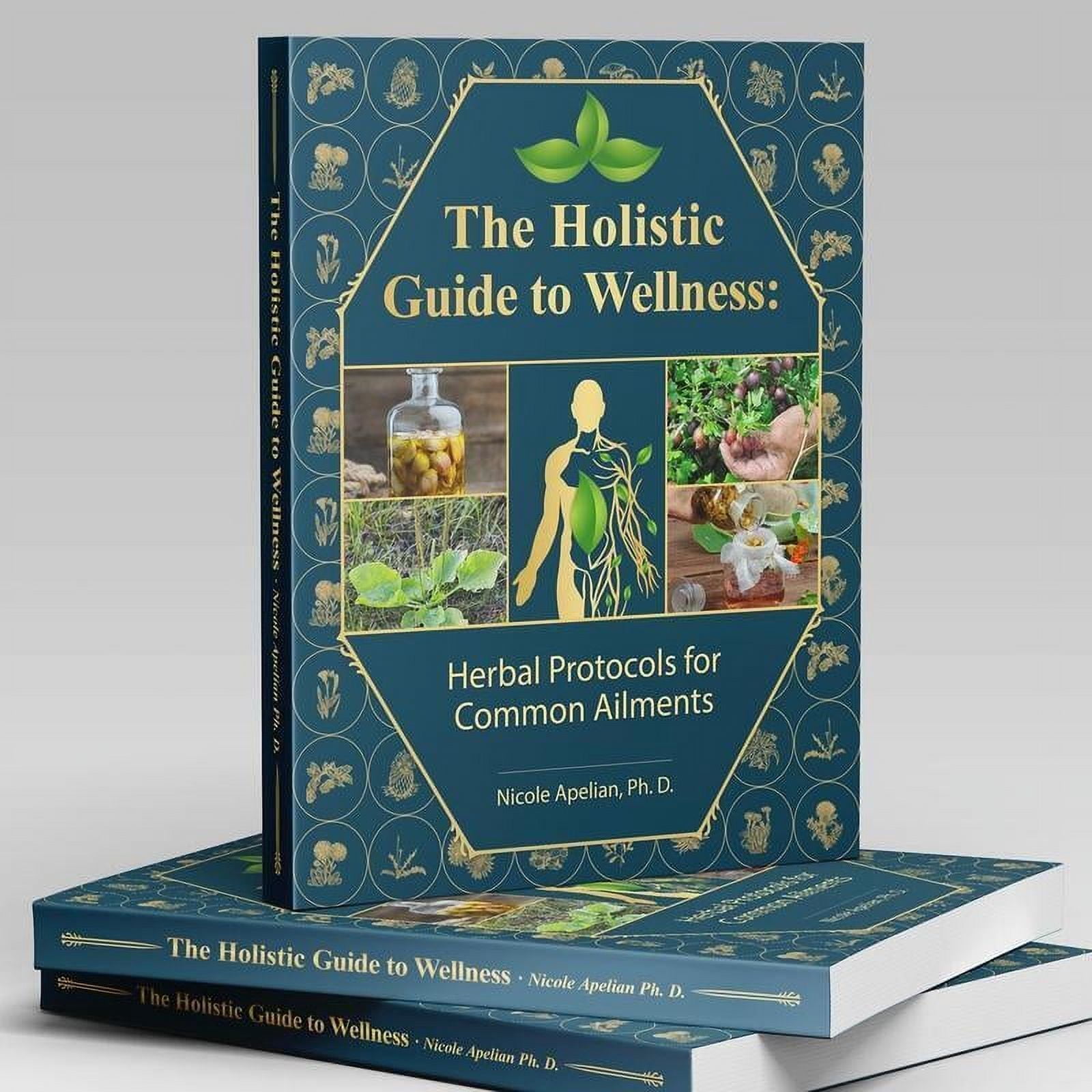 HOT Book The Holistic Guide to Wellness:Herbal Protocols for Common ...