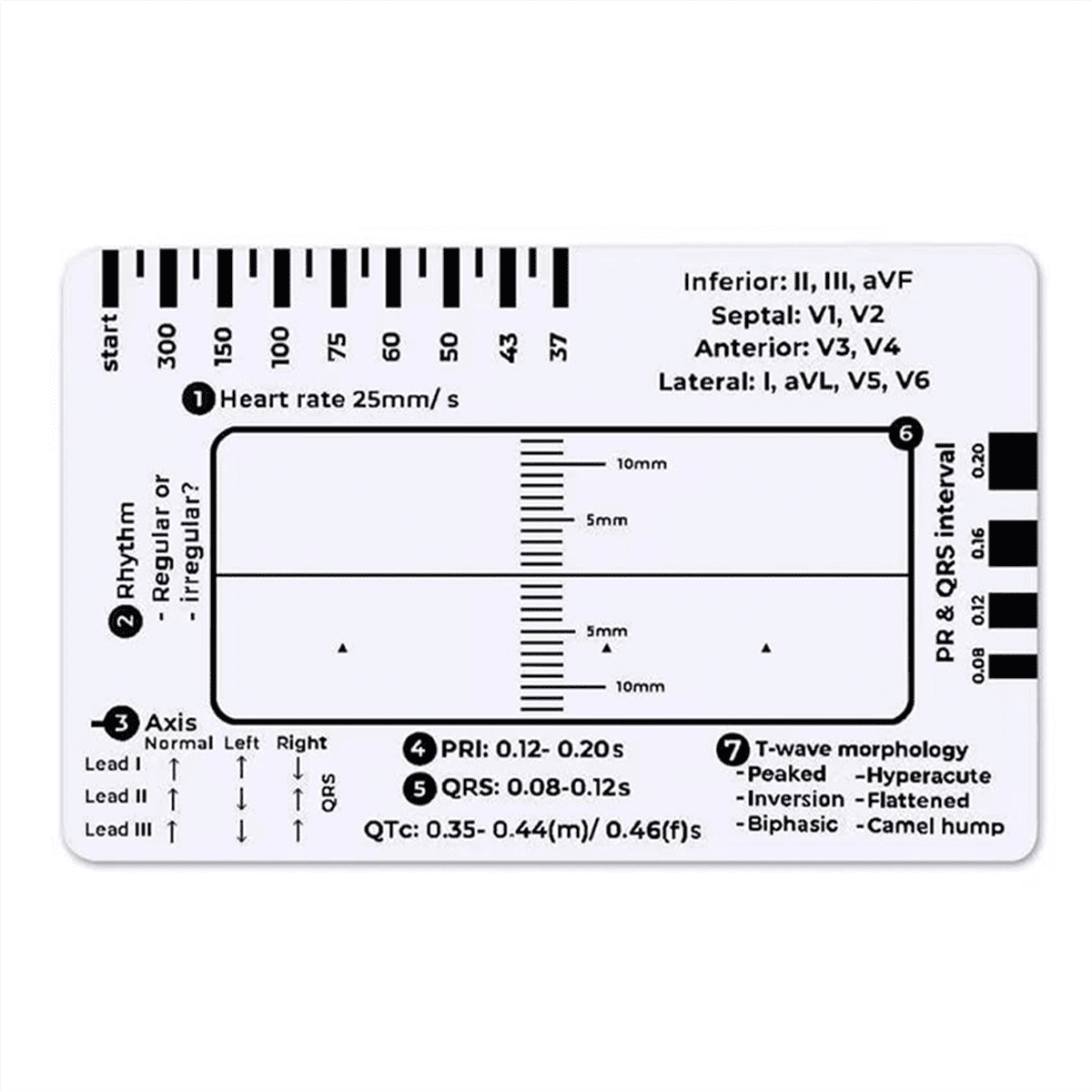 HOT! ECG 7 Step Ruler, EKG Ruler for ECG/EKG Interpretation ...