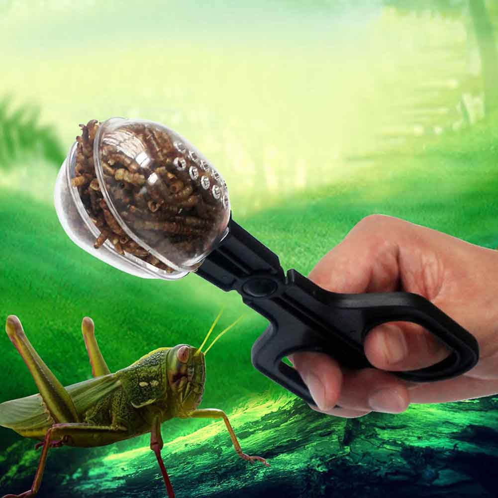 HOT! Reptile Terrarium Plastic Tongs Tweezers Pet Raising Feeding Tool ...