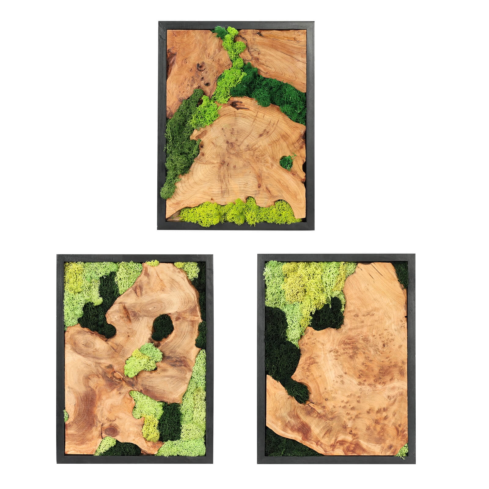 HOTSOUL 3 Piece Preserved Moss Wall Art with Natural Wood, Featuring ...