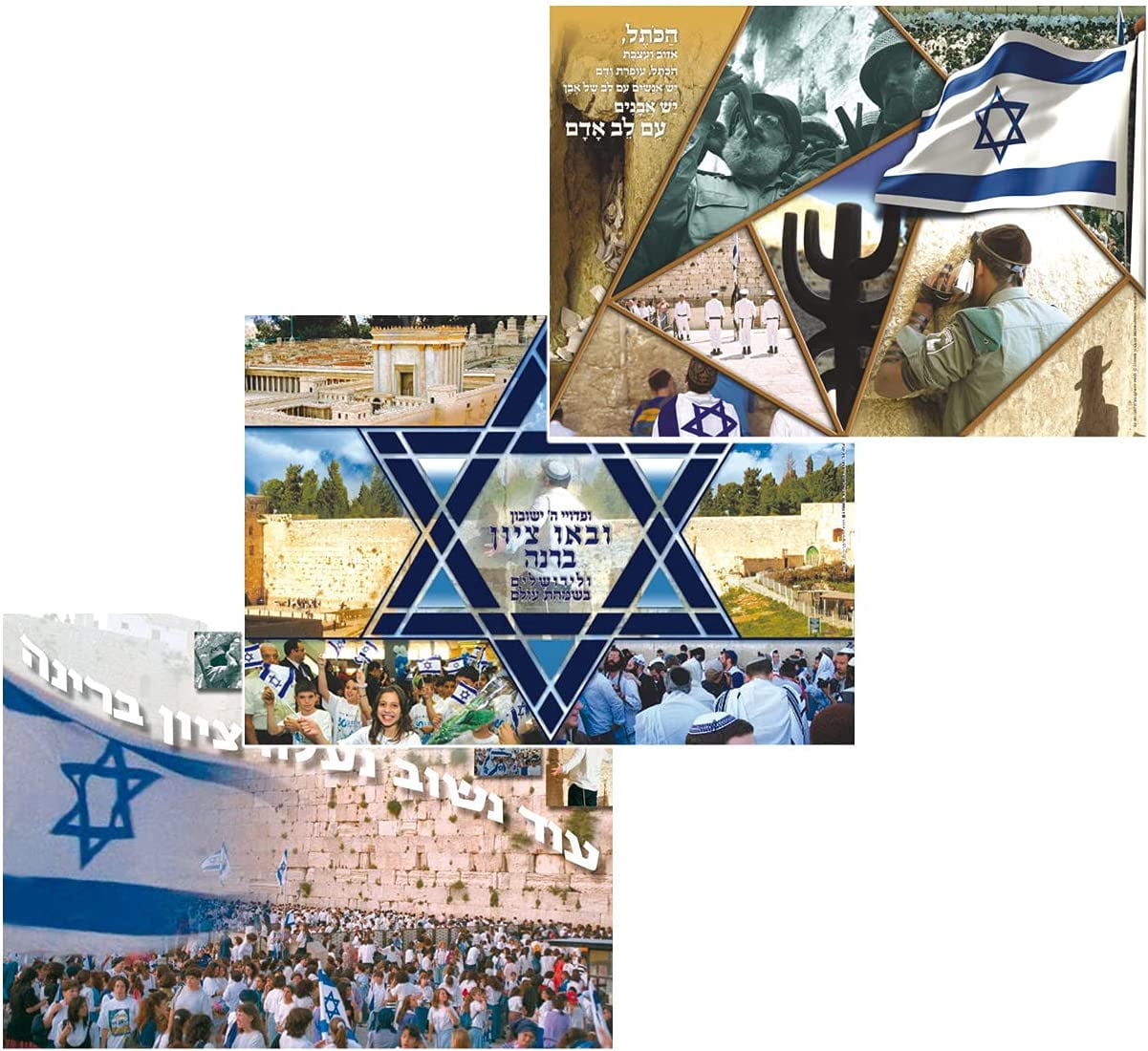 HOUSEOFGAFNI Laminated Jewish Sukkah Posters for Sukkot Decorations Set ...