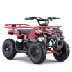 "X-Pro 40cc 4-Stroke Kids Mini Gas ATV with Pull Start, Disc Brake, 6 ...