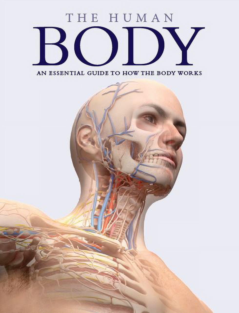 HOW THE BODY WORKS REV - Walmart.com