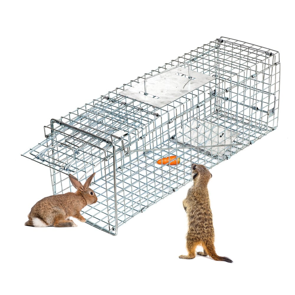 HOWEN 24-inch Humane Live Animal Trap Cage, Catch and Release for ...