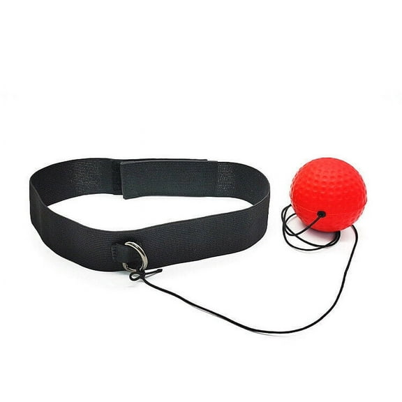 Boxbollen Original with App, Used by Celebrities - MMA Gear Boxing Ball ...