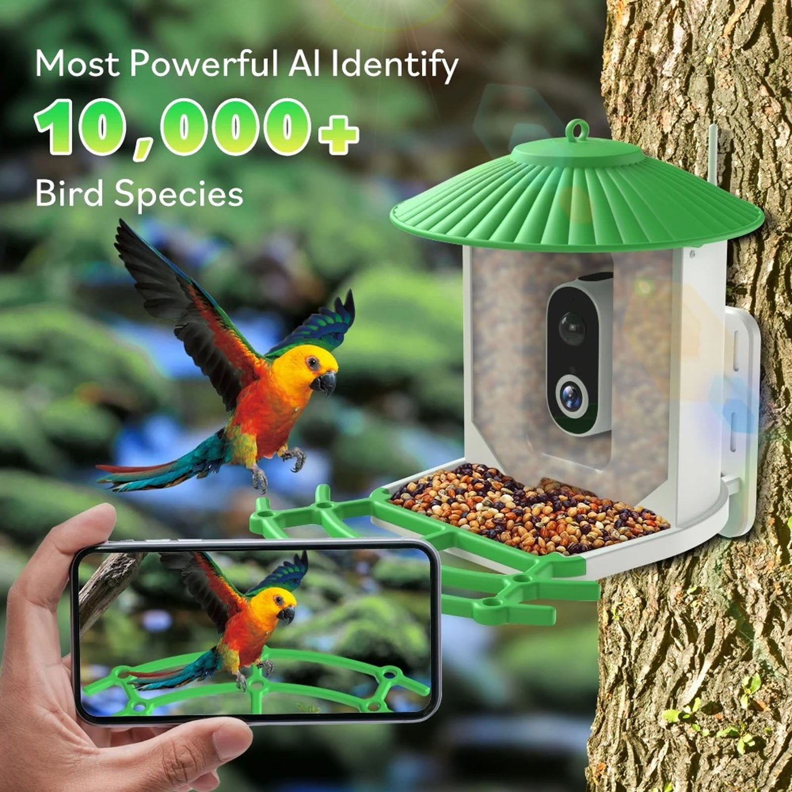 HOZVOMI Smart Bird Feeder with 4MP HD Camera, Solar Powered, 1080P ...