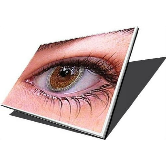 Hp Laptop Screen Replacement