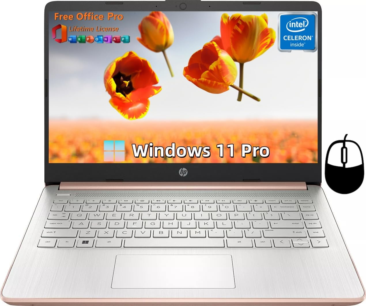 HP 14" Laptop Student Business, with Office Lifetime License & Windows ...