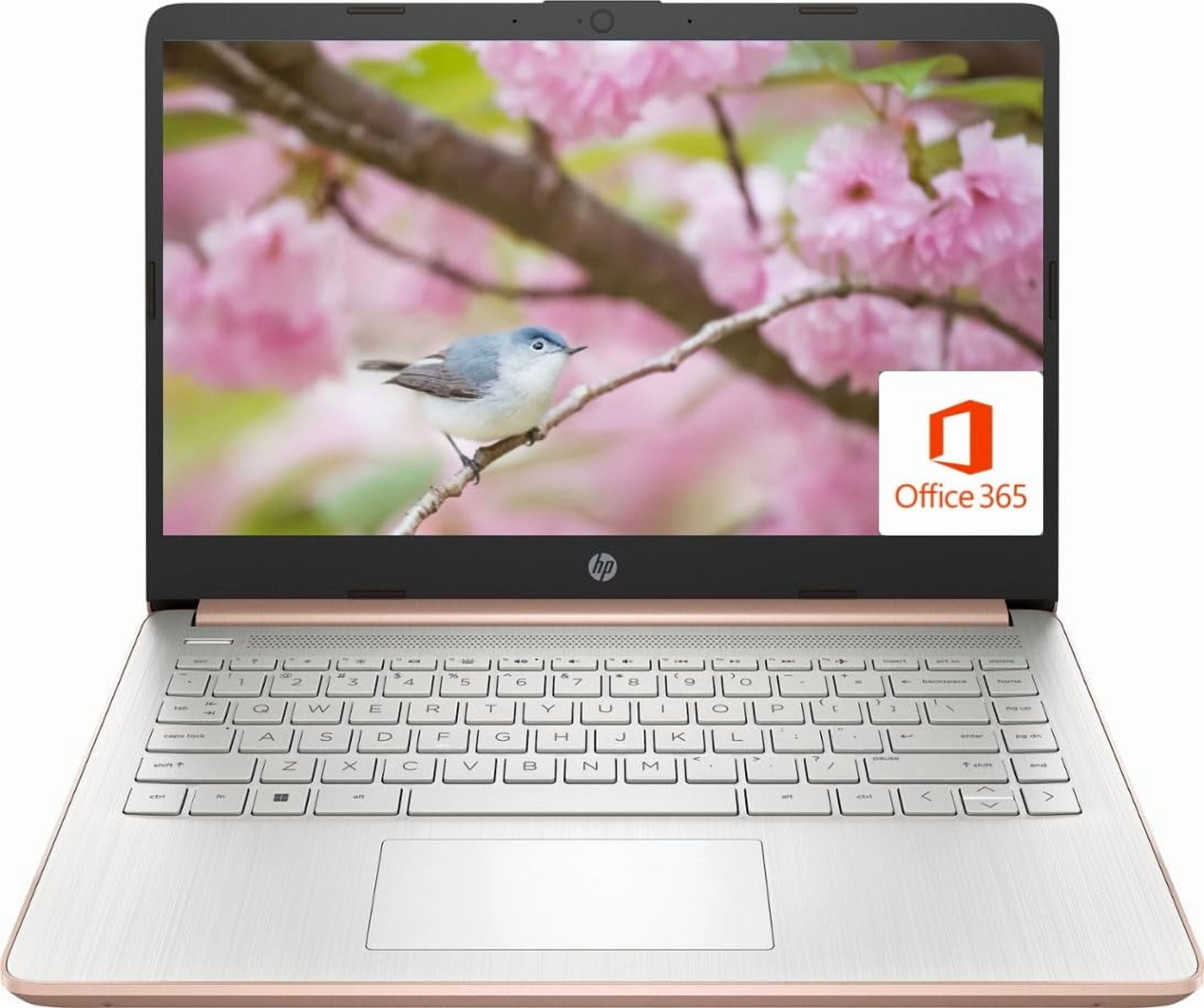 HP 14 Premium HD Portable Laptop Computer Students Business, Quad-Core ...