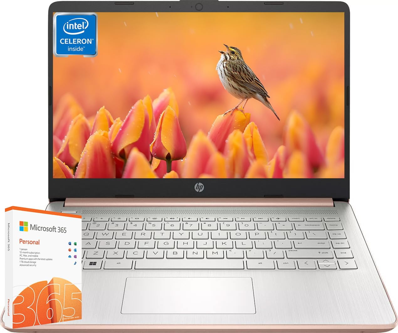 HP 14" Ultral Light Laptops for Business, Intel Celeron N4120, 8GB RAM ...