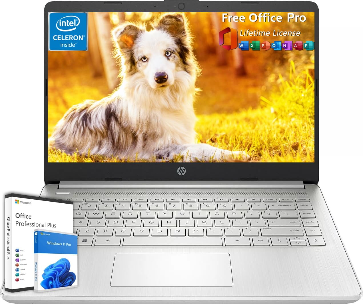 HP 14 inch Laptop Student & Business, Intel Celeron N4120, 16GB RAM ...
