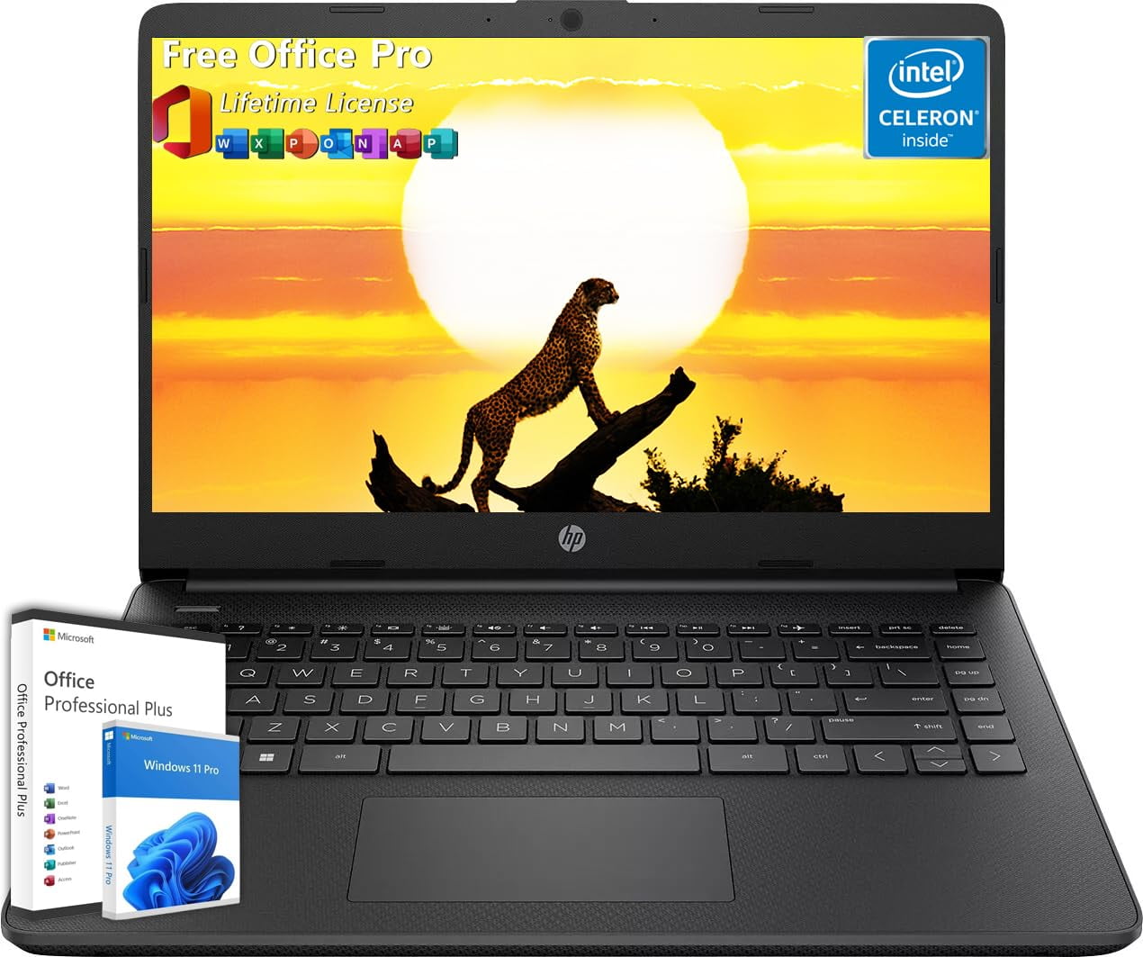 HP 14 inch Laptop Student & Business, Intel Celeron N4120, 16GB RAM ...