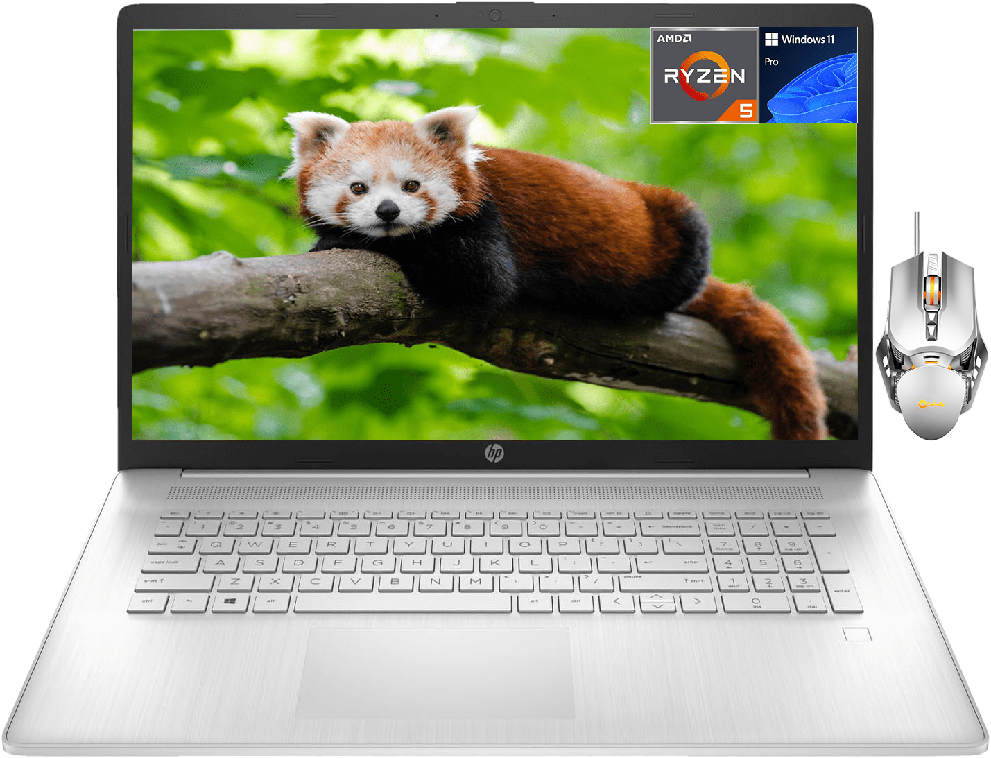 HP 17.3" FHD Laptop, AMD Ryzen 5 5500U, AMD Radeon Graphics, 8GB RAM ...