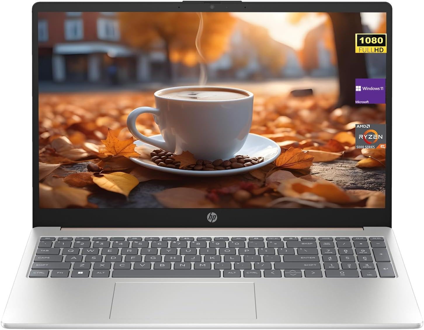 HP 17.3" FHD Laptop, AMD Ryzen 5 5500U Hexa-Core Processor, 8GB RAM ...