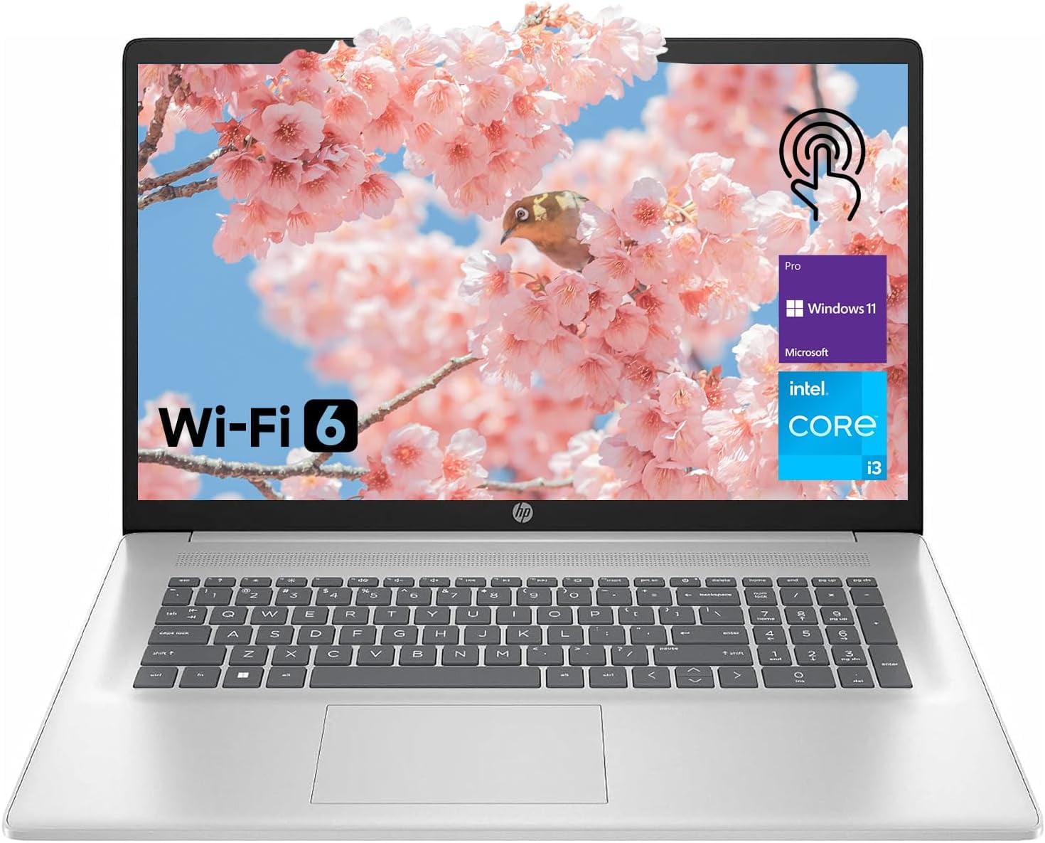 HP 17.3" Touchscreen Laptop, Intel Core i3, 32GB RAM, 1TB SSD,Webcam ...
