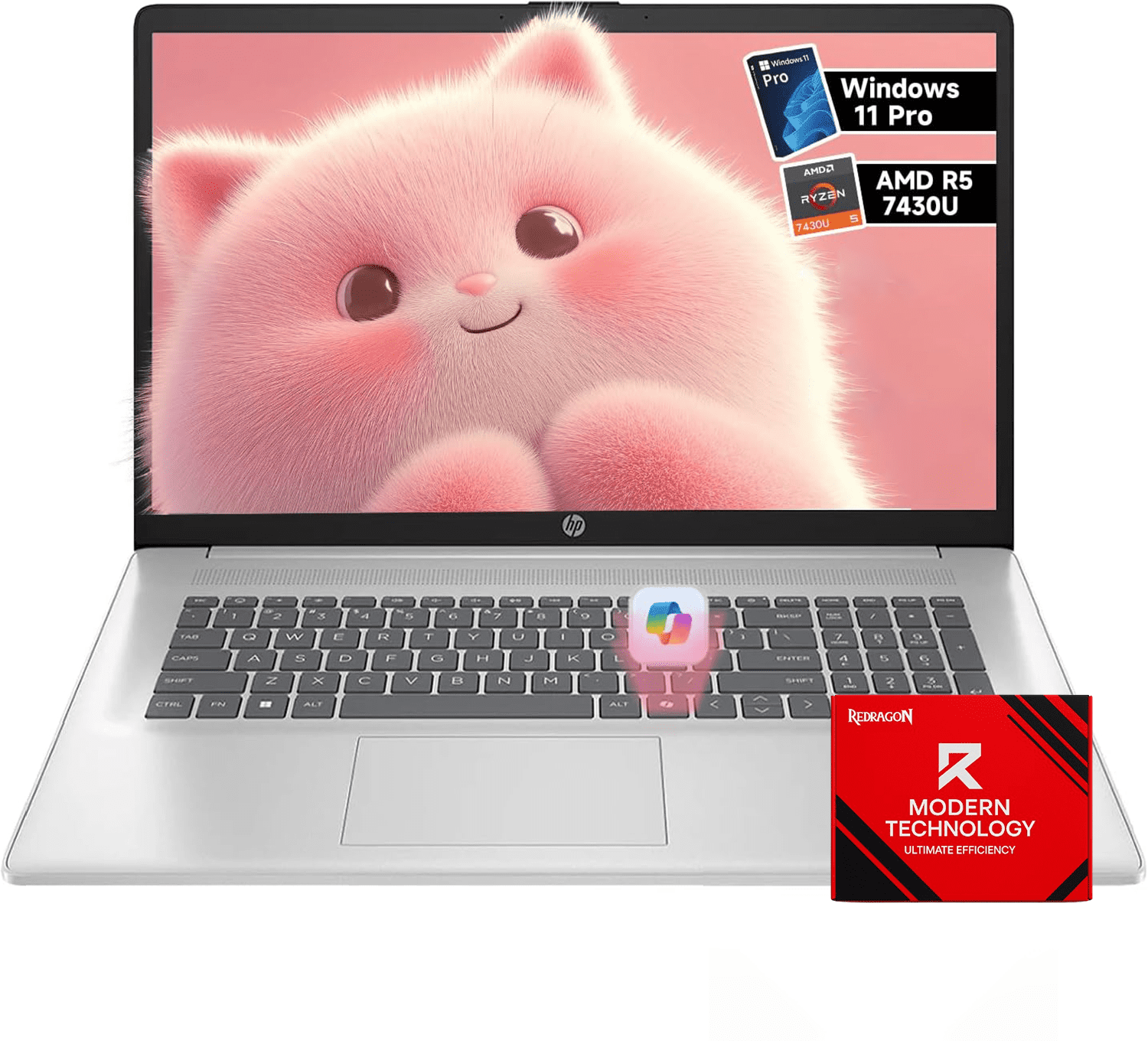 HP 17 inch Business Laptops Computer, 17.3" FHD Anti-Glare Display, AMD ...