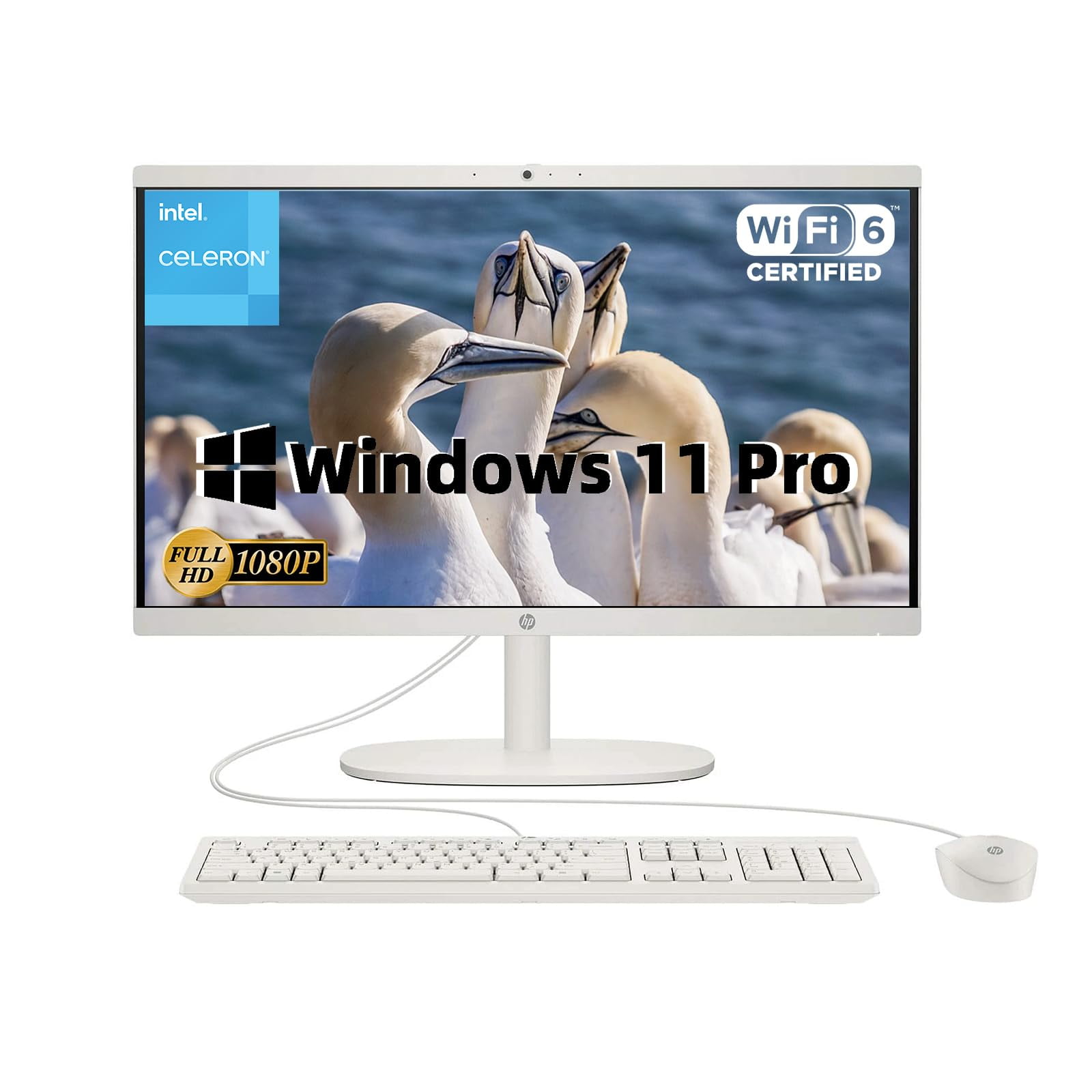 HP 21.5" All-in-One Desktop, FHD VA Display, Intel Celeron J4025, Intel UHD Graphics 600, True ...