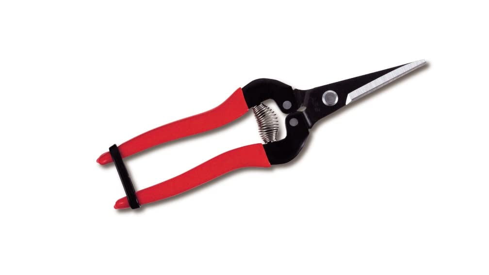 HP-300L Needle Nose Fruit Pruners - Walmart.com