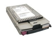 HP 500 GB 3.5" Internal SAN Hard Drive 371142-001 - Walmart.com