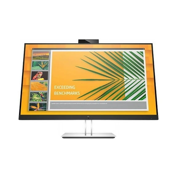 Monitor with Webcam