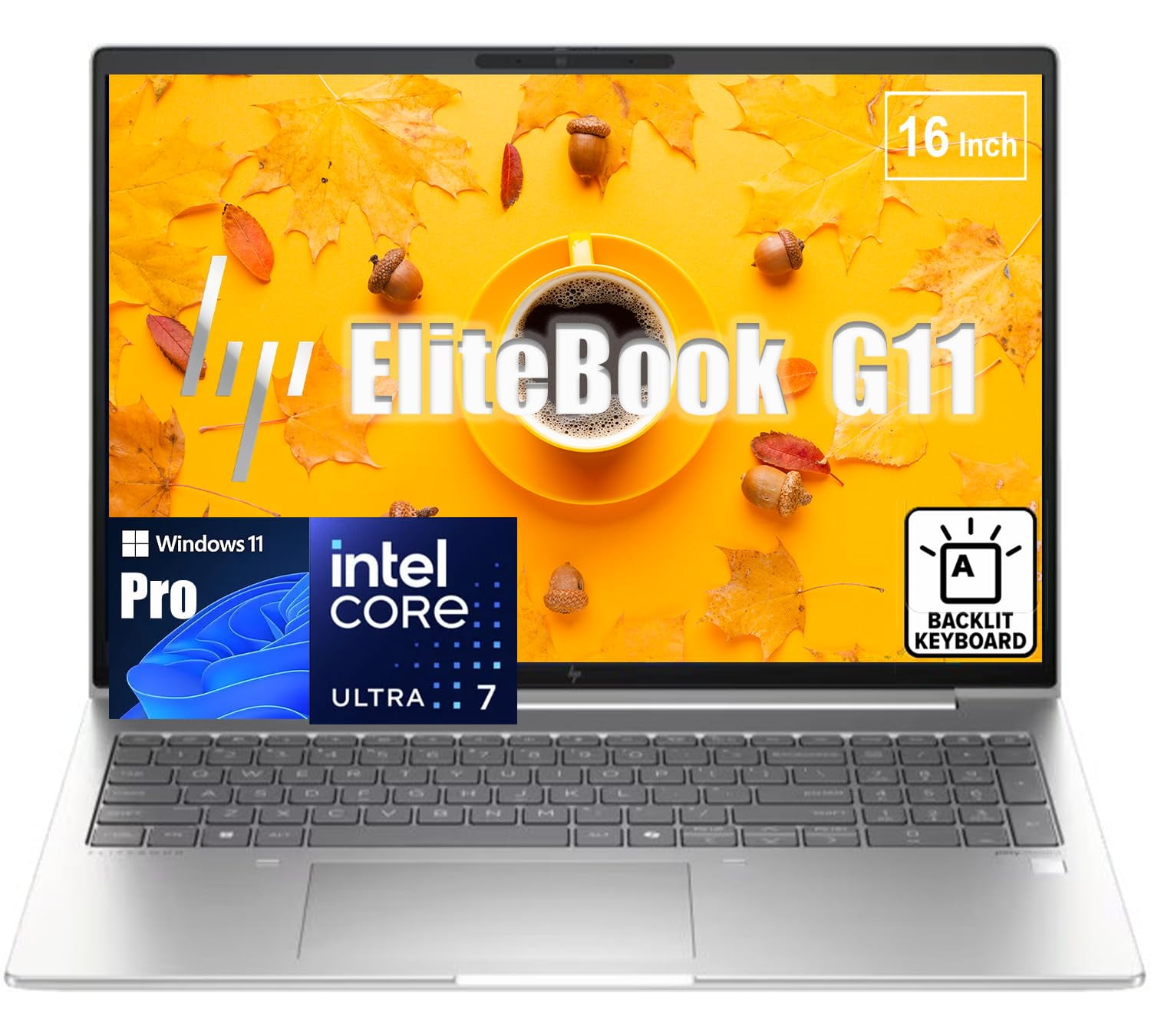 HP EliteBook 660 G11 16 Inch Premium Business Laptop | Fingerprint ...