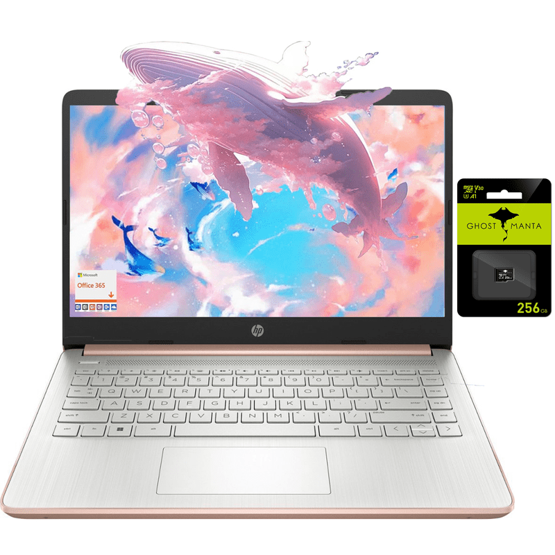 HP Laptop 14 inch, 16GB DDR4, 320GB Storage(64GB eMMC+256GB SD Card ...