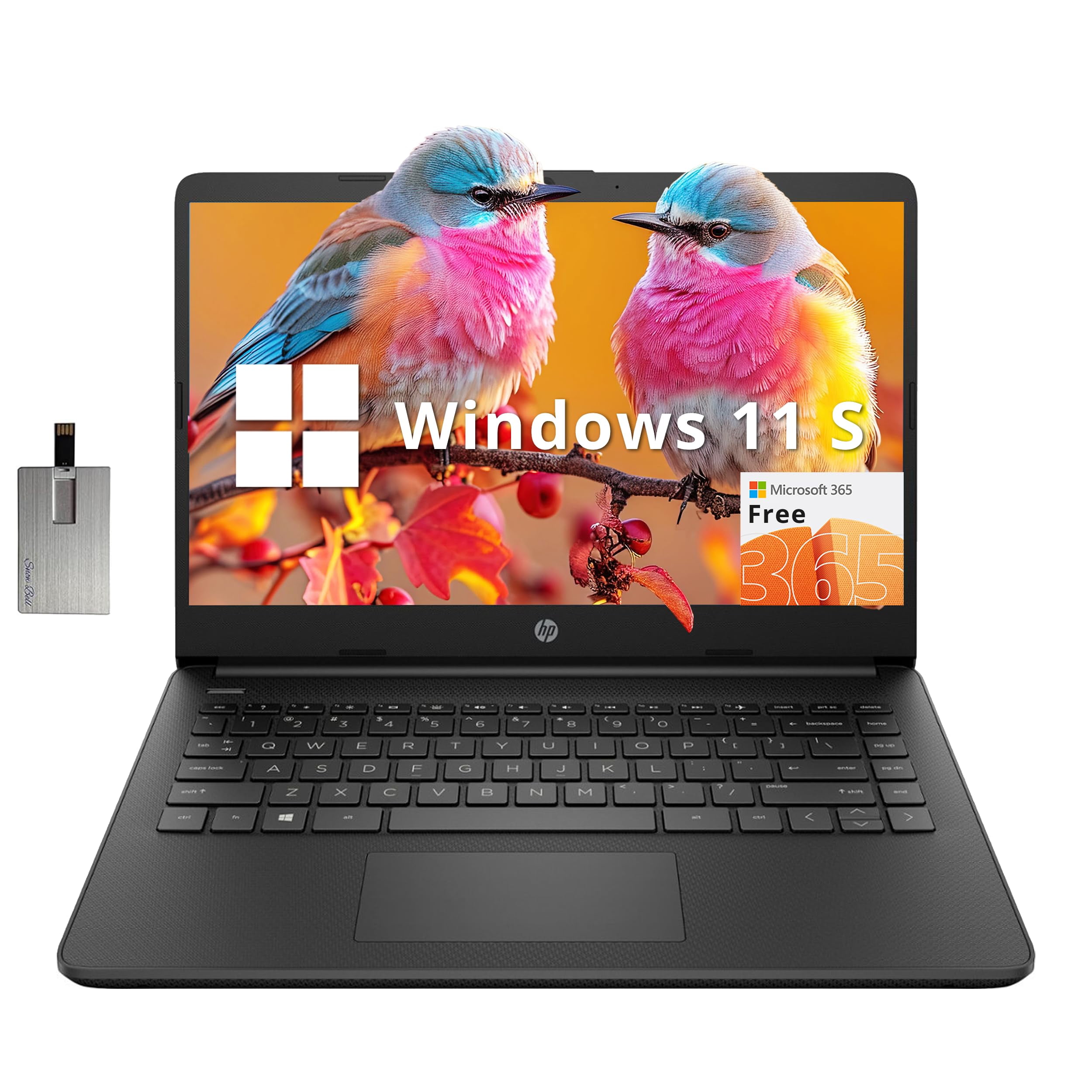 HP Stream 14" HD BrightView Laptop, Intel Celeron N4120, 16GB RAM ...