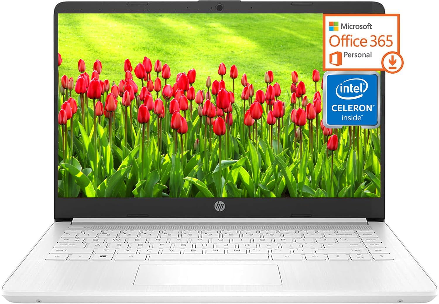 HP Stream 14 Inch Laptop 2023, Ultra Thin and Light for College ...